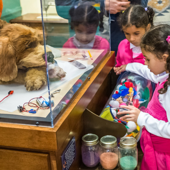 The Perry Foundation